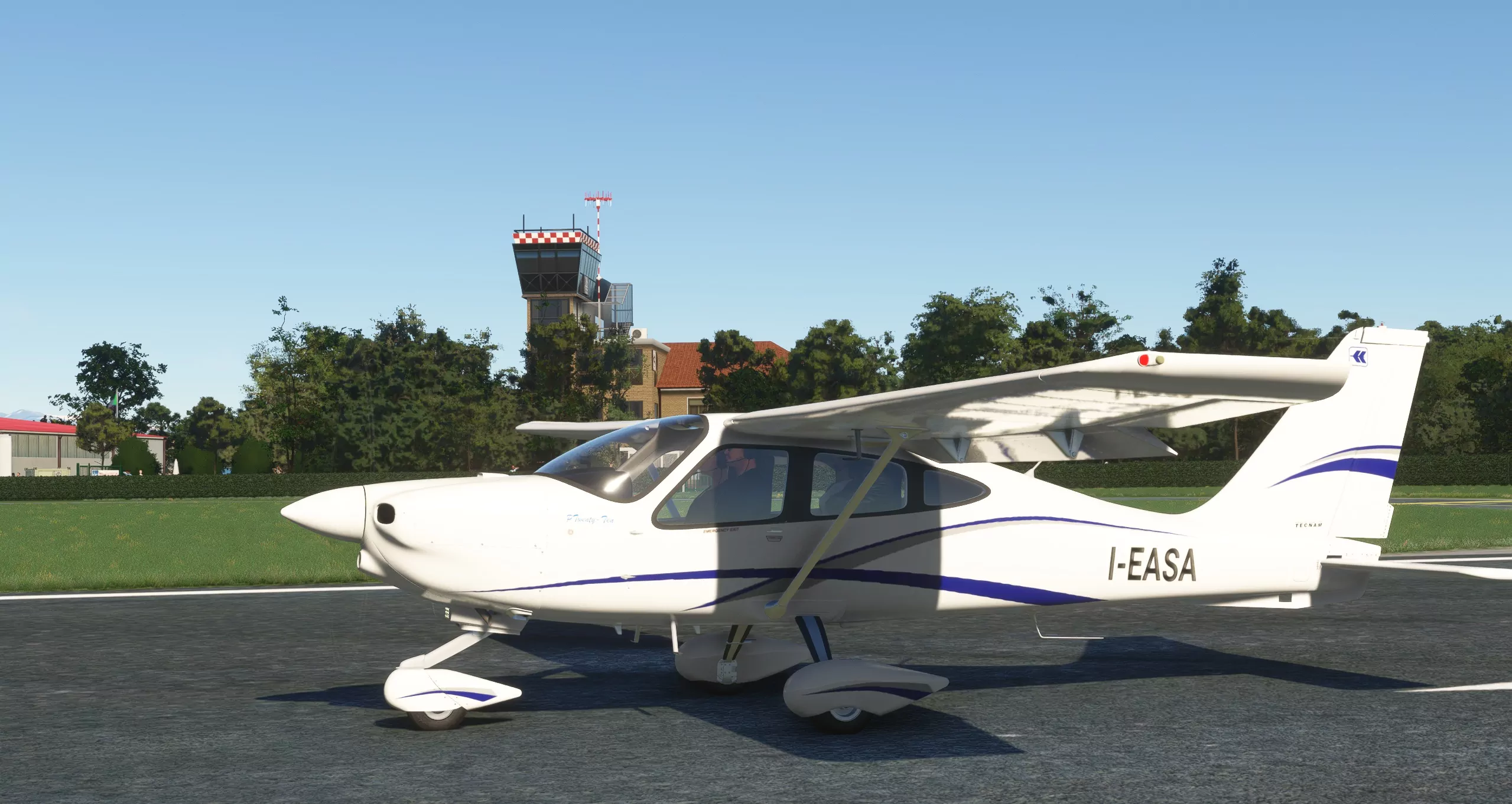 Aerosachs – Tecnam P2010 MSFS and Expansion Logitech FIP – simFlight