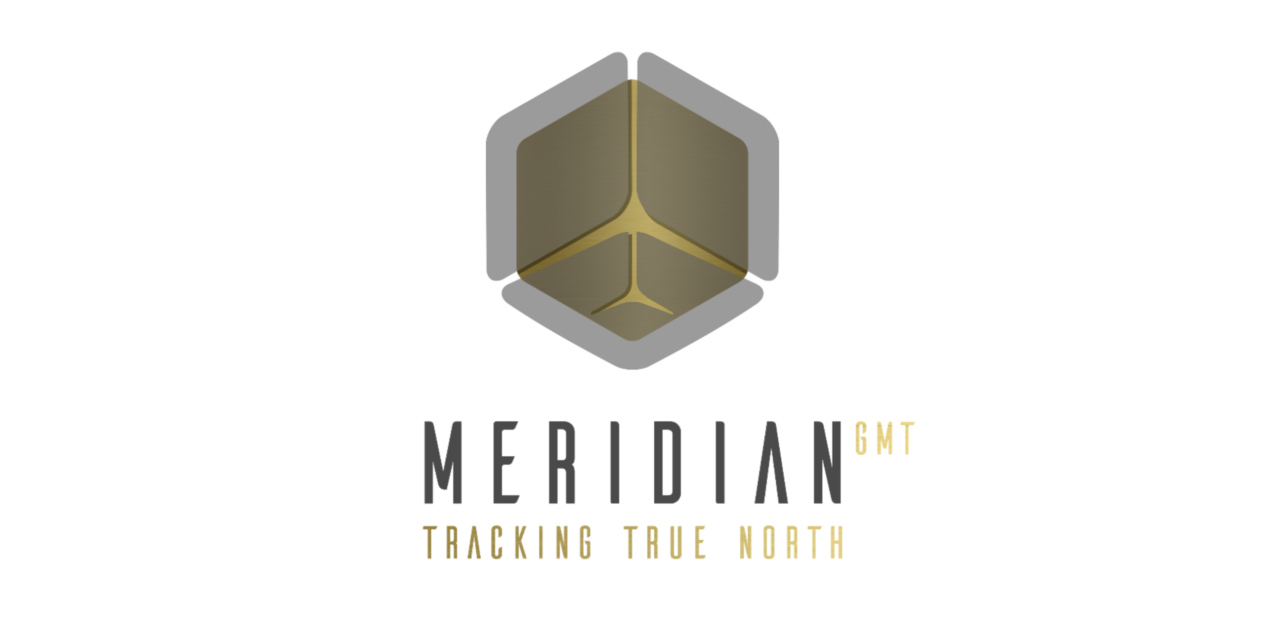 Meridian GMT: Nicki Repenning’s Flight Sim Comeback – simFlight